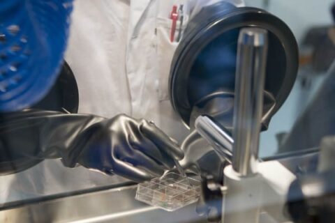 All Jacomex Products and Glove Boxes